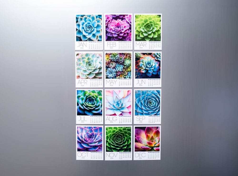 Succulent Collection Calendar 2026 - Nifty Magnets